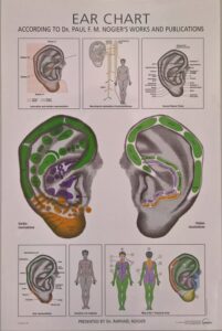 Auriculopunten P.NOGIER/R.NOGIER - SanoPharm